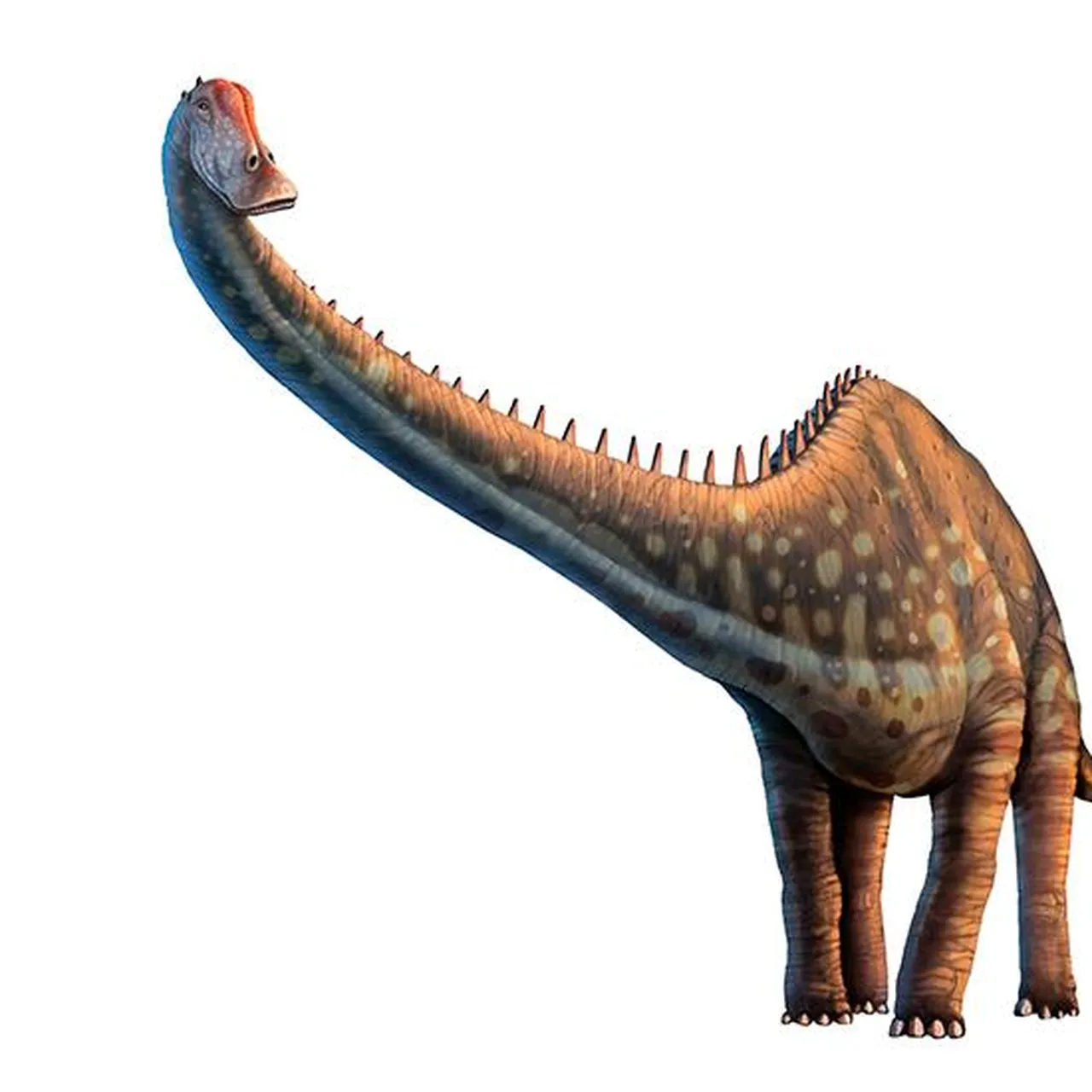 how to draw a dinosaur long neck