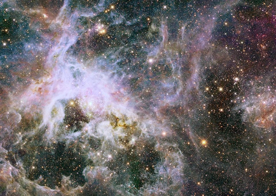 "Creepy-Crawly" Tarantula Nebula