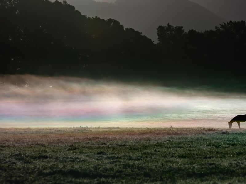 Fog Rainbow | Smithsonian Photo Contest | Smithsonian Magazine