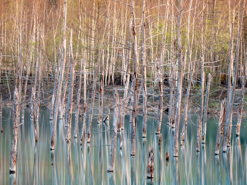 Blue Pond | Smithsonian Photo Contest | Smithsonian Magazine