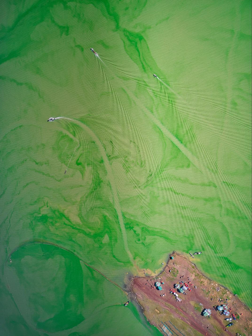 Tri An Lake & fishing boats | Smithsonian Photo Contest | Smithsonian ...