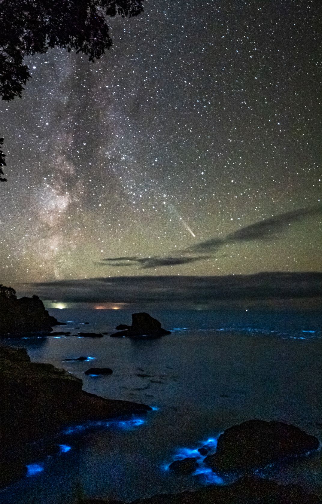 Bioluminescence bloom | Smithsonian Photo Contest | Smithsonian Magazine