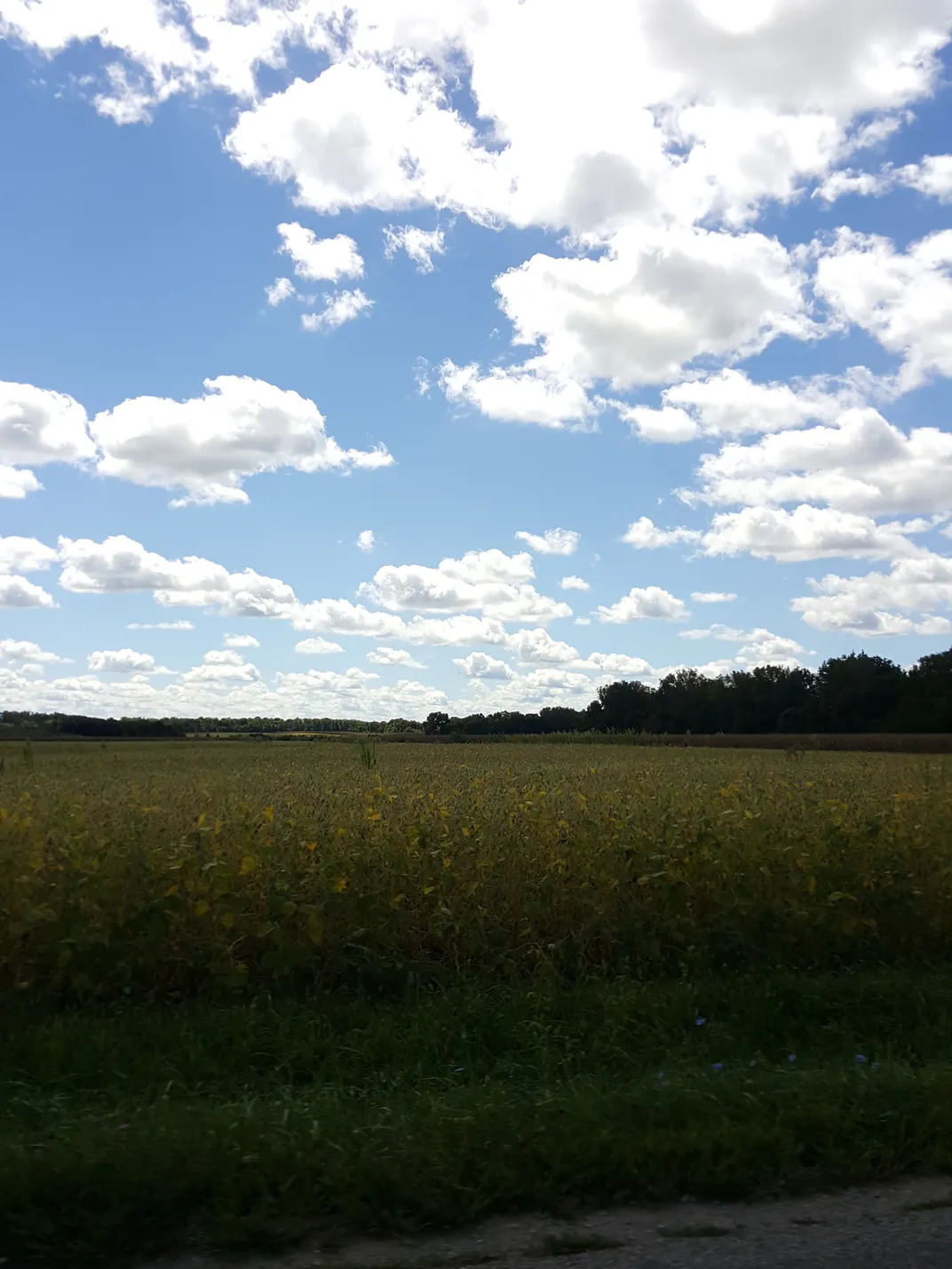 September Sunday in Indiana | Smithsonian Photo Contest | Smithsonian ...