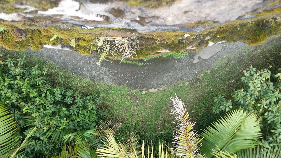 view from the tower at mt. britton in El Yunque, Puerto Rico ...