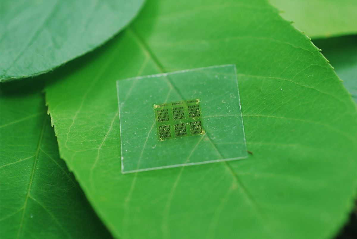 green computer chip name