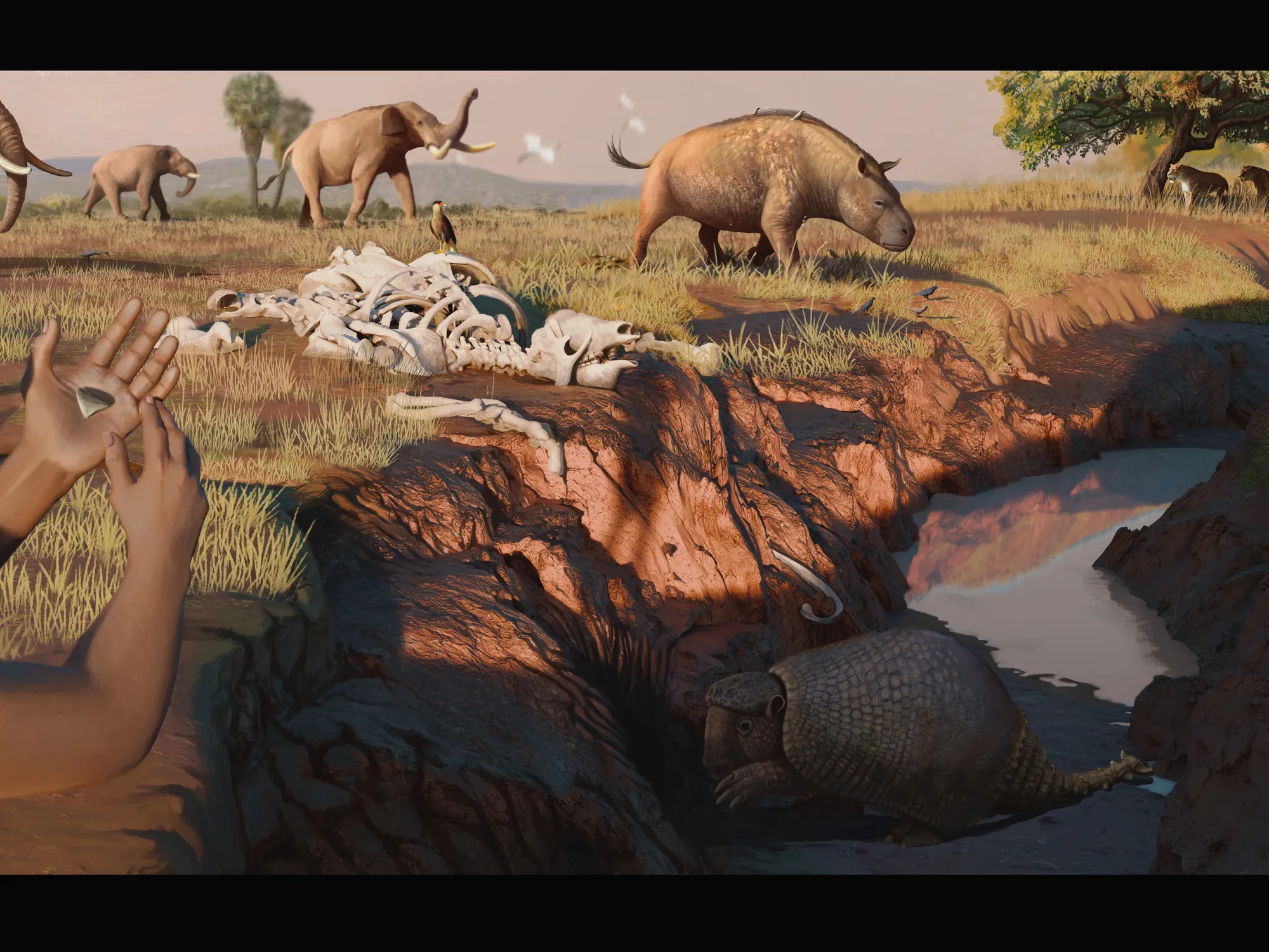 Meet the Scientist Decoding Human History in South America Through ...