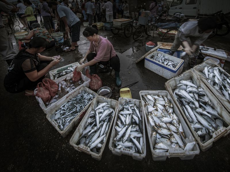 Fish stall | Smithsonian Photo Contest | Smithsonian Magazine