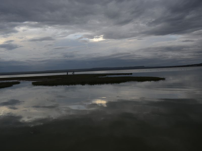 Looking deep in nature | Smithsonian Photo Contest | Smithsonian Magazine