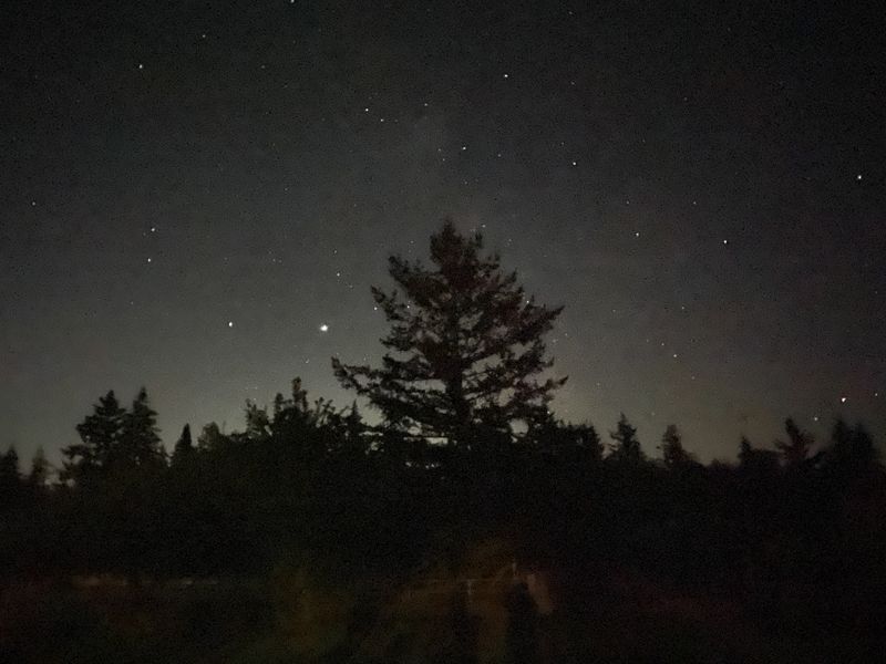 Night sky from the yard | Smithsonian Photo Contest | Smithsonian Magazine