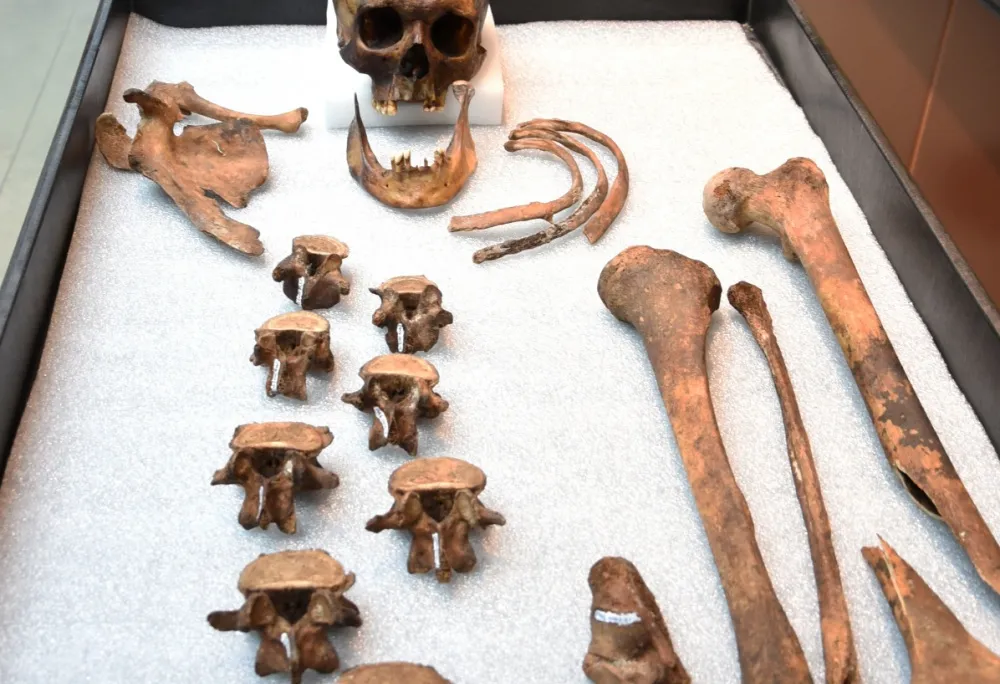 vampire skeleton found