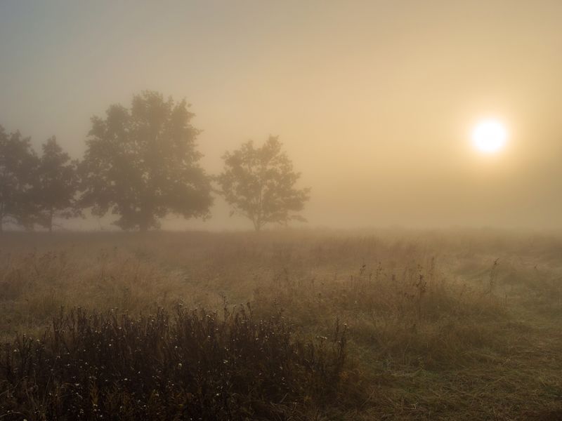 The sun hid in a fog | Smithsonian Photo Contest | Smithsonian Magazine