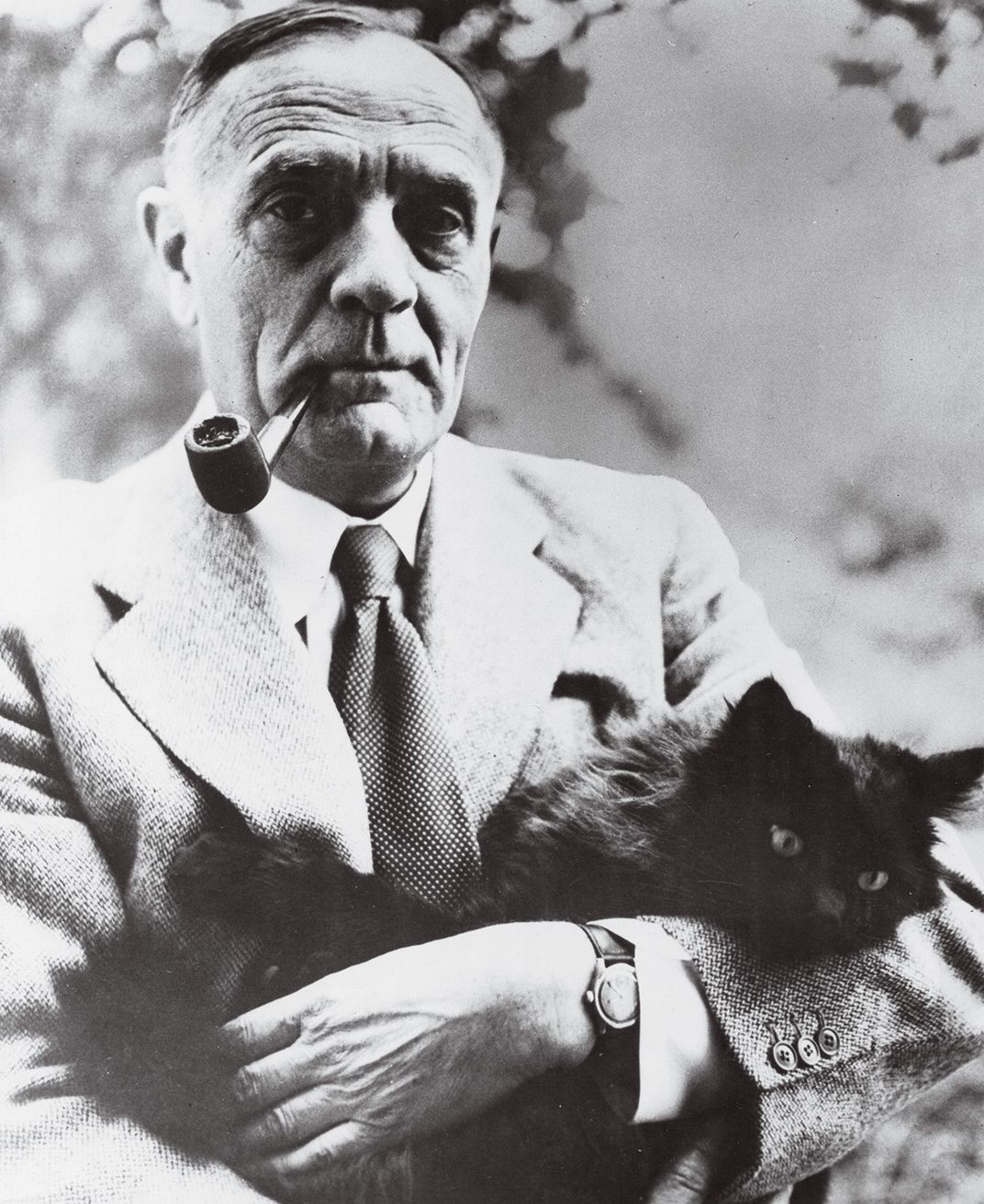 edwin hubble albert einstein