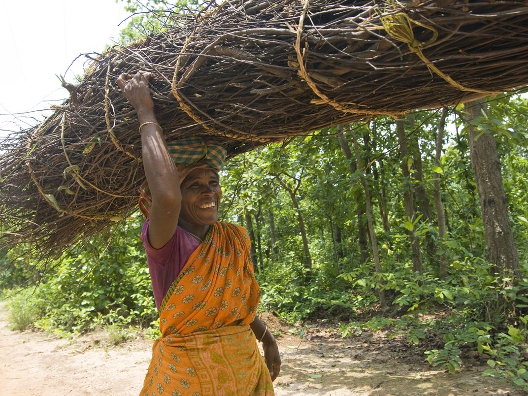 The tribal woman is smiling in joy as she has collected a huge heap of ...