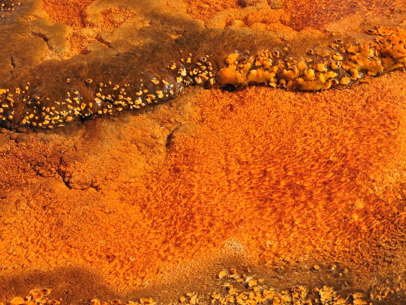 Bacteria mat at Yellowstone. | Smithsonian Photo Contest | Smithsonian ...