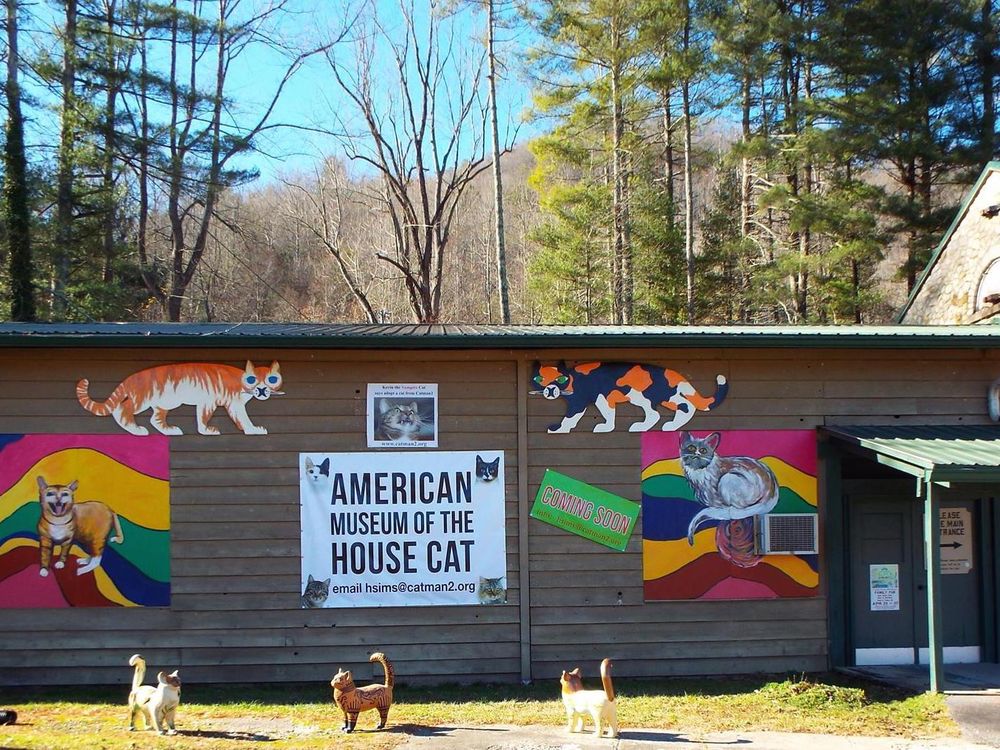 North Carolina Has a House Cat Museum
