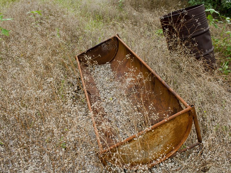 Burrs | Smithsonian Photo Contest | Smithsonian Magazine