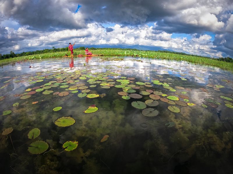Lotus Lake | Smithsonian Photo Contest | Smithsonian Magazine