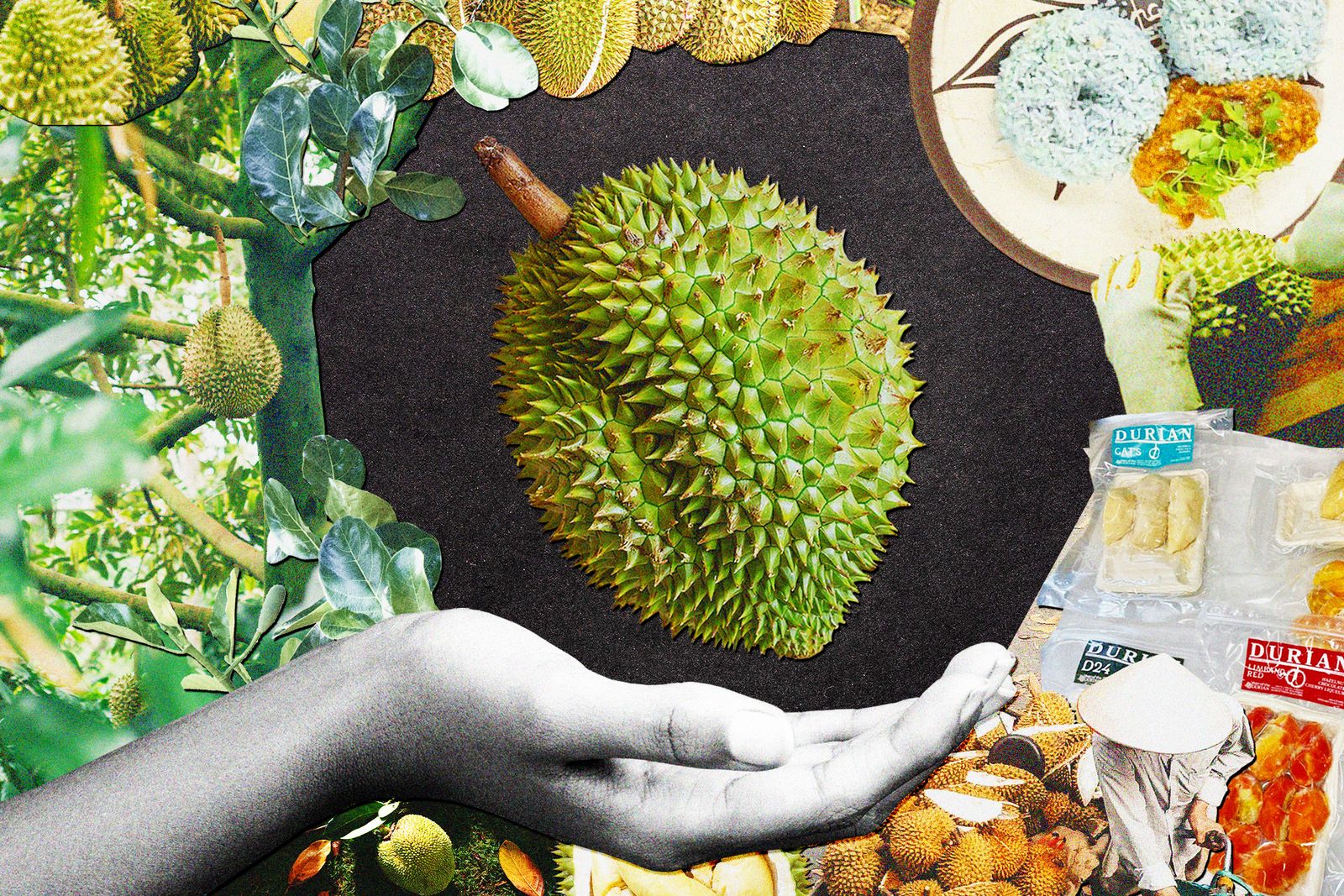 Why You Should Love Durian, the World's Smelliest Fruit