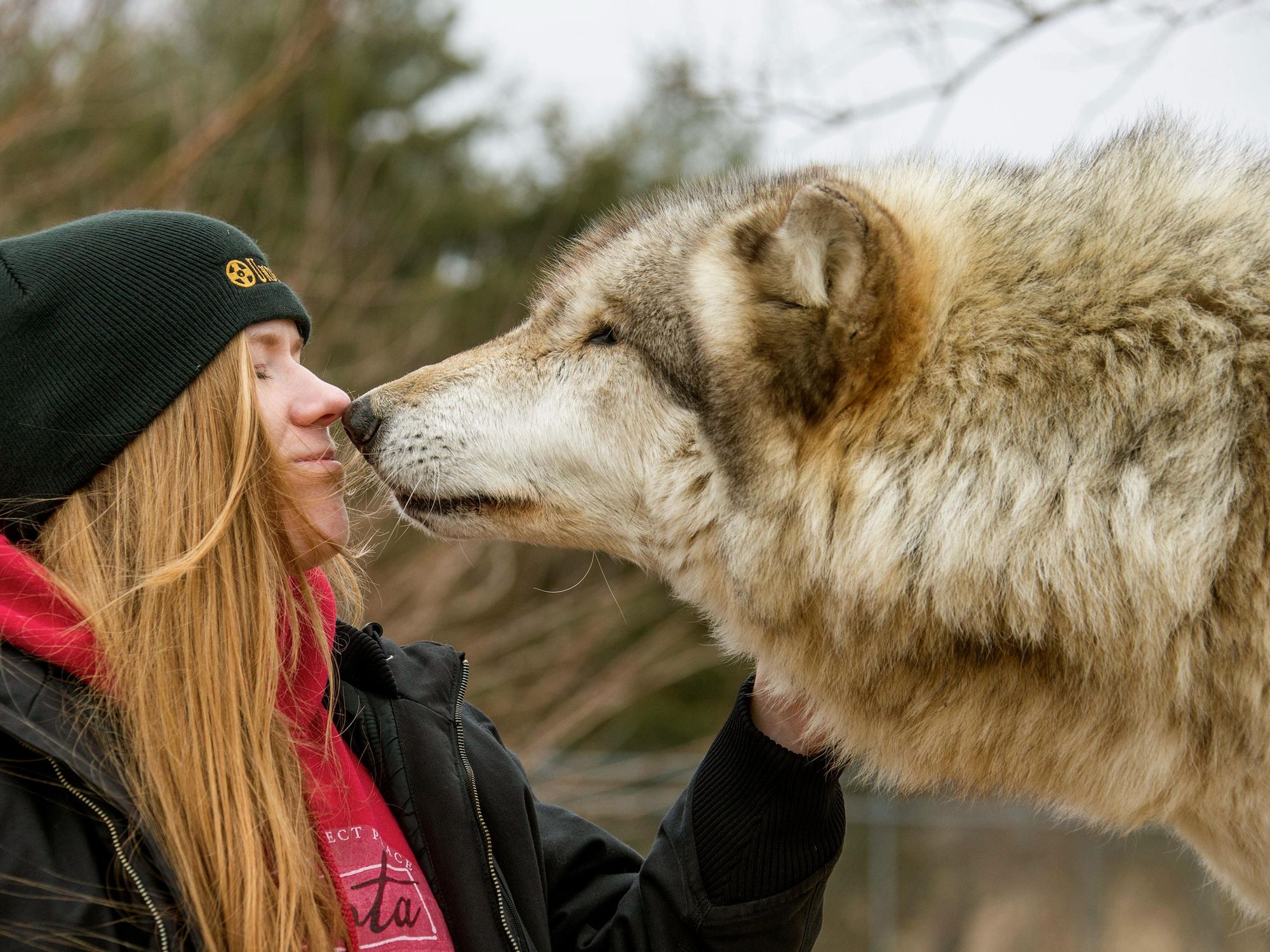 What Makes Fido So Friendly? It Could Be Genetic