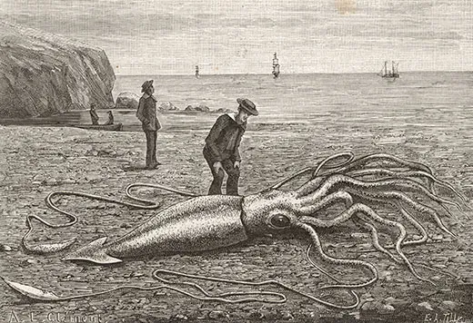 Giant Squid Art