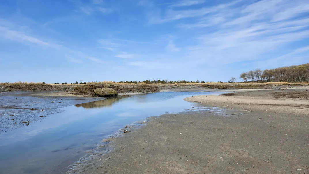 Mud sculpture in Caumsett State Park. | Smithsonian Photo Contest ...