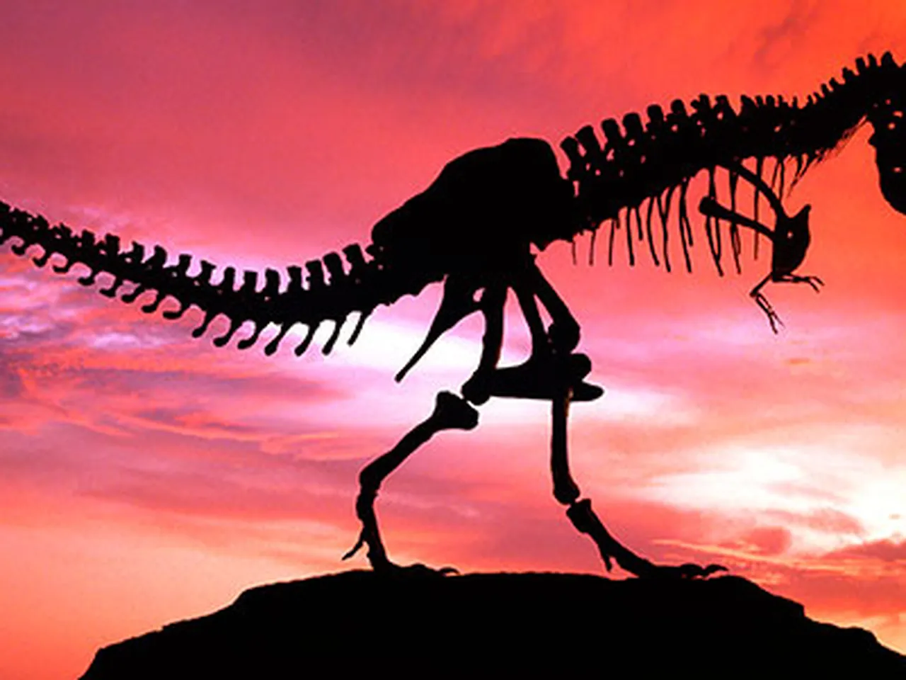 Dinosaur Extinction Theories Meet The New Species Of Jurassic World: