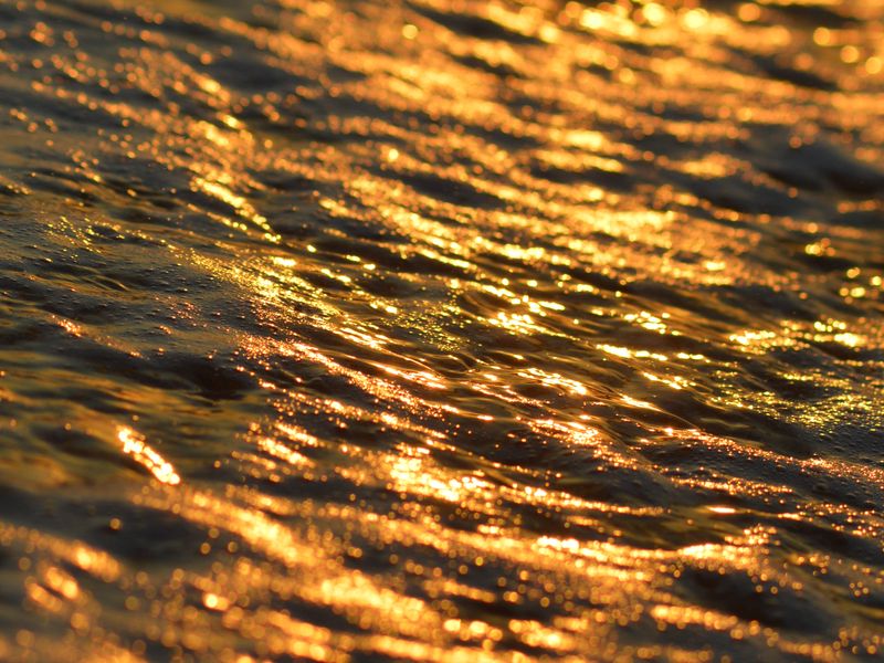 golden water | Smithsonian Photo Contest | Smithsonian Magazine