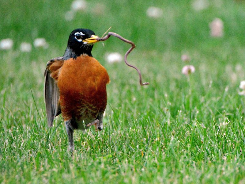 The Early Bird | Smithsonian Photo Contest | Smithsonian Magazine