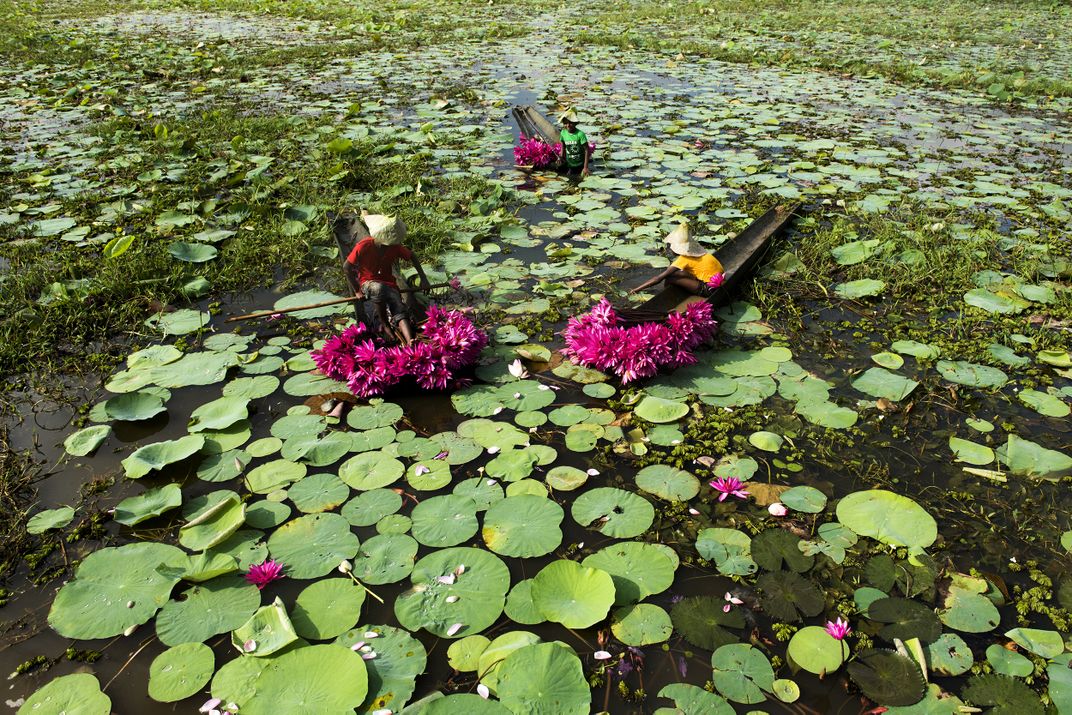 Childhood in Swamp | Smithsonian Photo Contest | Smithsonian Magazine