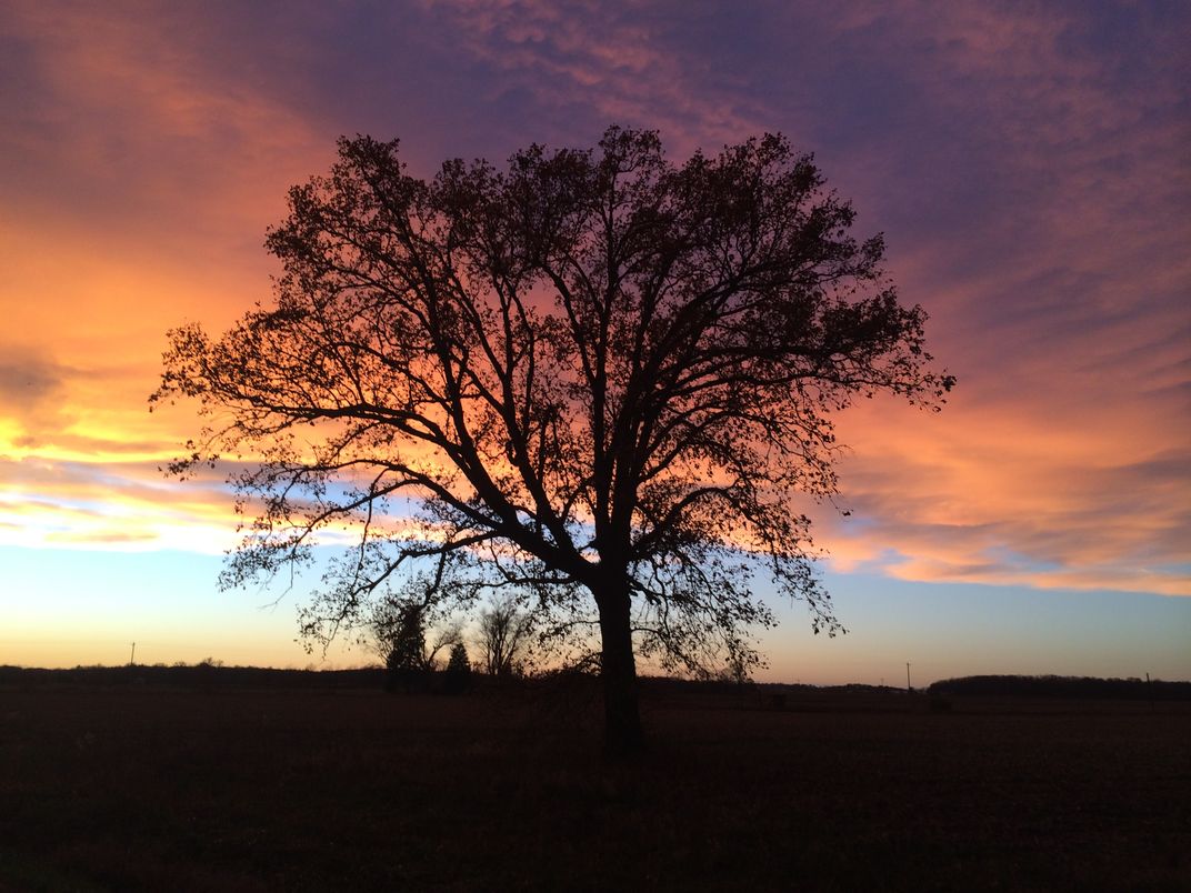An Autumn Sunset in Southern Indiana | Smithsonian Photo Contest ...