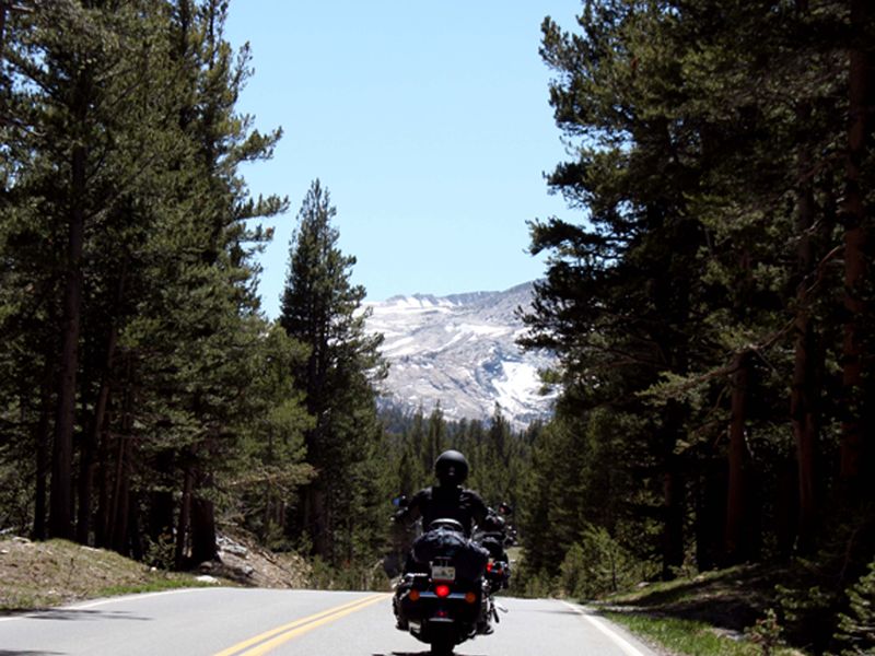 Driving through Yosemite National Park | Smithsonian Photo Contest ...