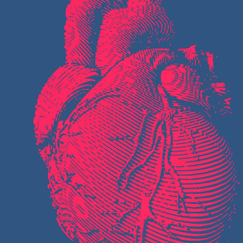 Human Heart Art Projects