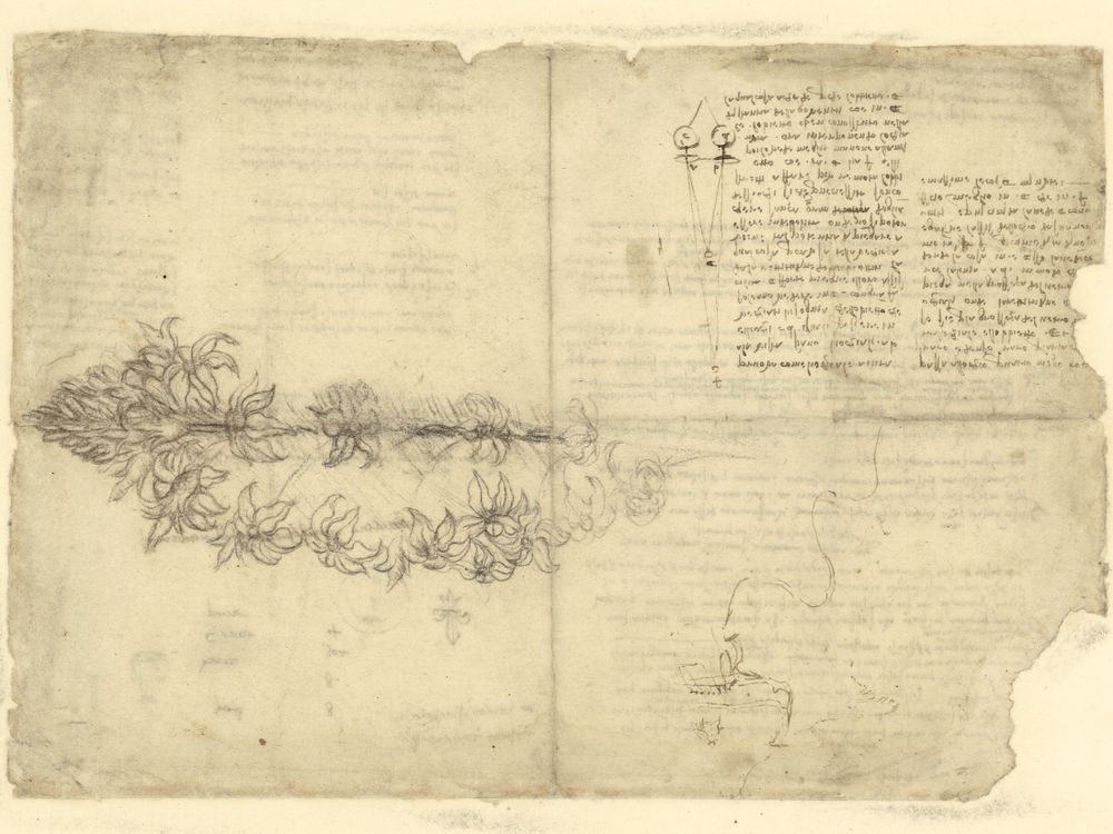 Leonardo da Vinci Studied the Science of Smell