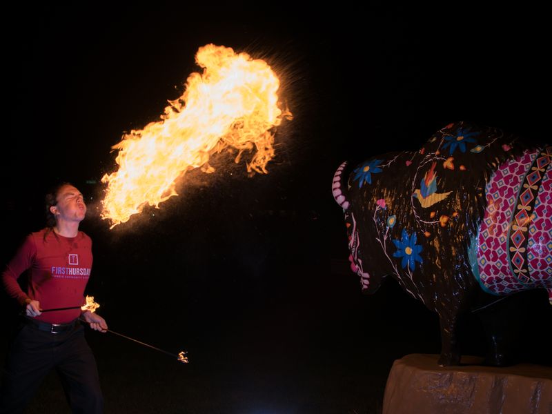 Fire and the Buffalo | Smithsonian Photo Contest | Smithsonian Magazine