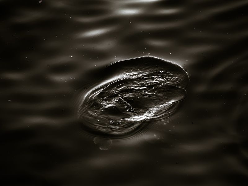 Dark Water | Smithsonian Photo Contest | Smithsonian Magazine