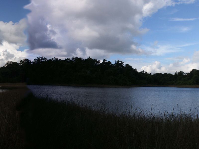 Tadoba lake in Tadoba tiger sanctuary | Smithsonian Photo Contest ...
