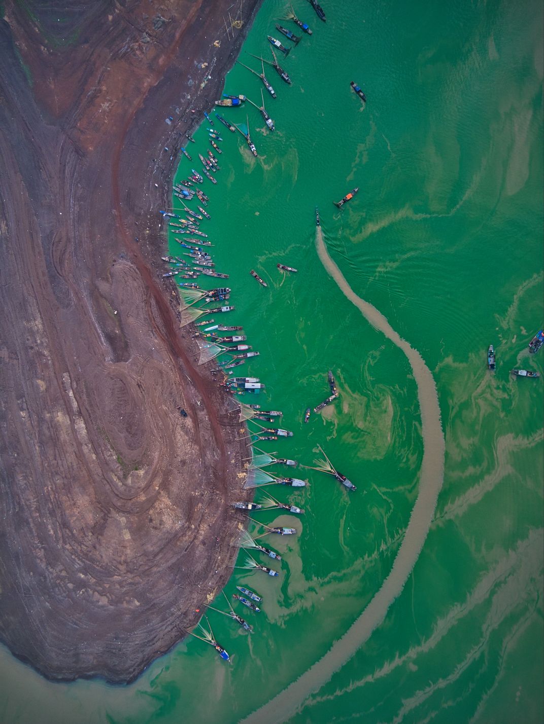Tri An Lake During Green Algae Season | Smithsonian Photo Contest ...