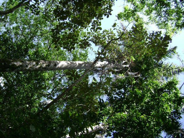 Rainforest II | Smithsonian Photo Contest | Smithsonian Magazine