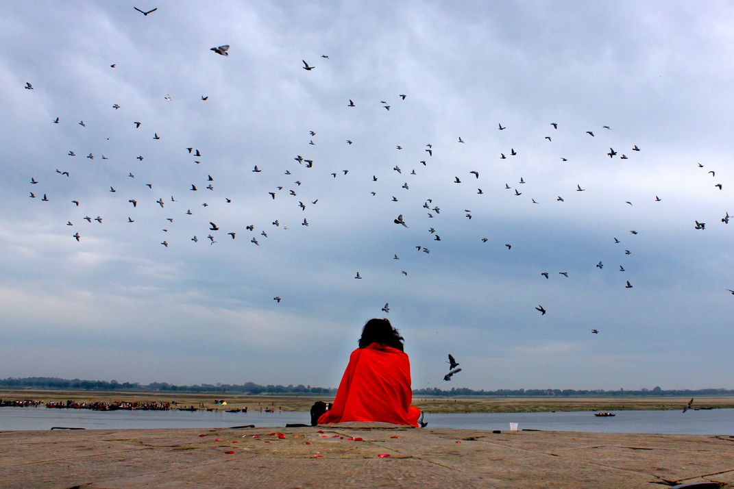 Among peace birds | Smithsonian Photo Contest | Smithsonian Magazine