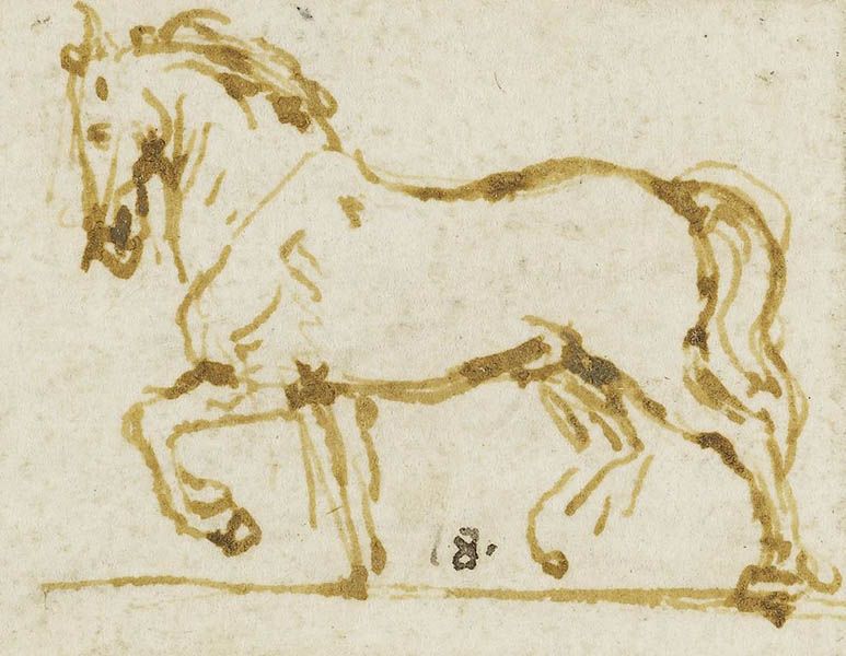 500 Years Ago, Leonardo da Vinci’s Notebook Was Cut Up and Separated ...
