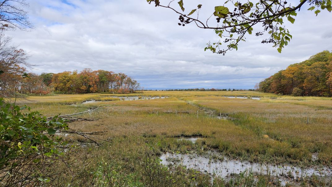 View overlooking the marsh at Caumsett State Park. | Smithsonian Photo ...