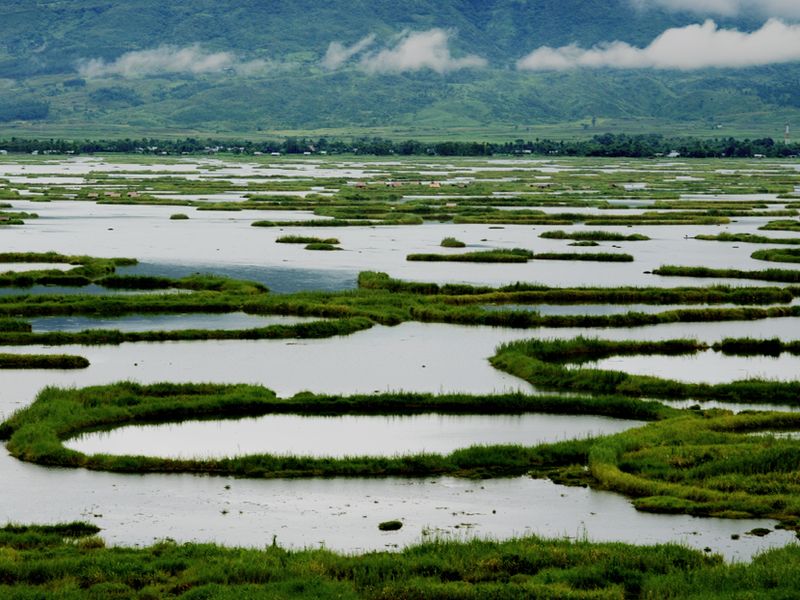 Loktak Lake | Smithsonian Photo Contest | Smithsonian Magazine
