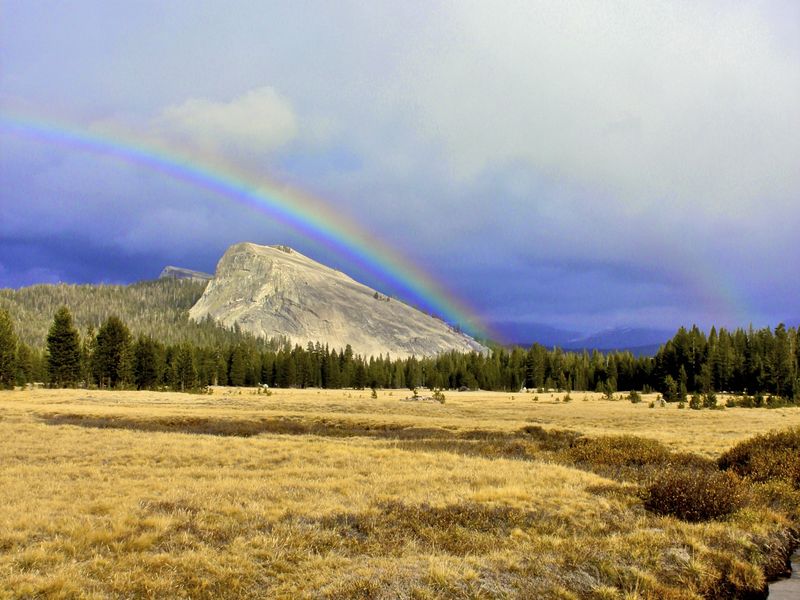 High Meadows Surprise | Smithsonian Photo Contest | Smithsonian Magazine