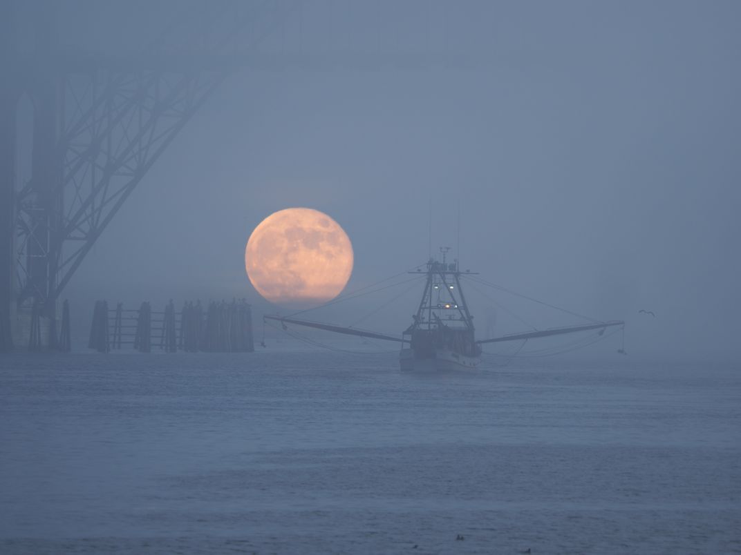 moonrise bay | Smithsonian Photo Contest | Smithsonian Magazine