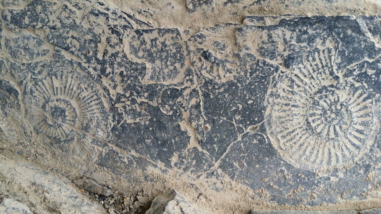 permian extinction date