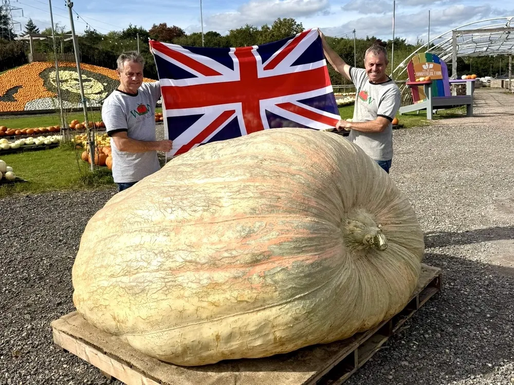 largest pumpkin pie ever made