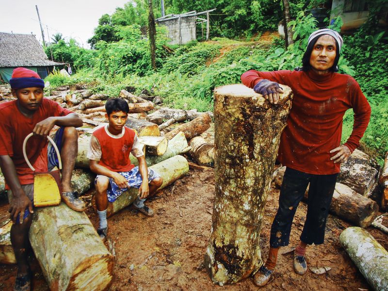 Deforestation | Smithsonian Photo Contest | Smithsonian Magazine