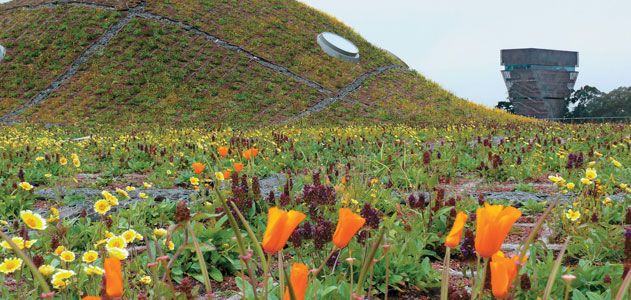 California Academy of Sciences: Greening a Higher Ground | Smithsonian