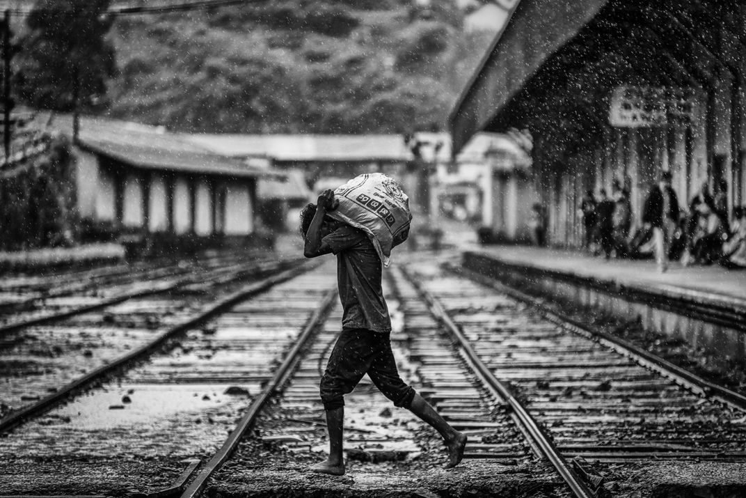 Hardworker | Smithsonian Photo Contest | Smithsonian Magazine