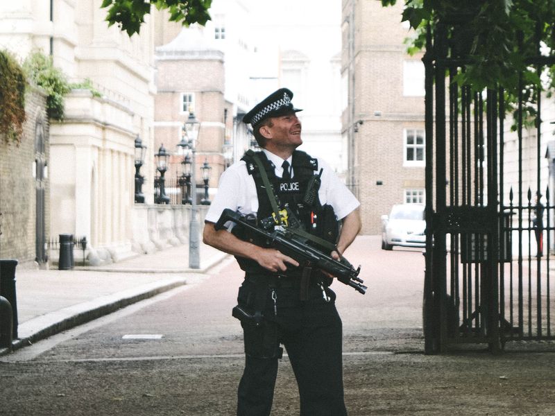 Smiling Guard of the Clarence House, St James's Palace | Smithsonian ...